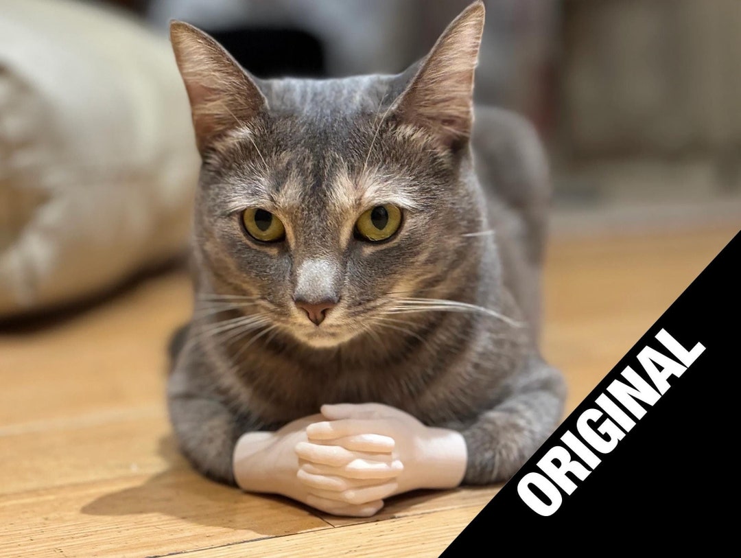 Cat Hands ORIGINAL Cat Costume Hands, Tiny Cat Hands, Fake Cat Paw ...
