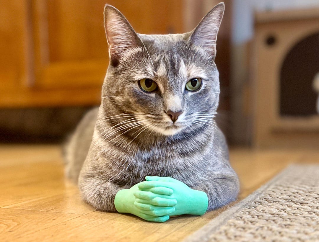 Cat Hands! (elphaba) Cat Costume Hands, Tiny Cat Hands, Fake Cat Paw ...
