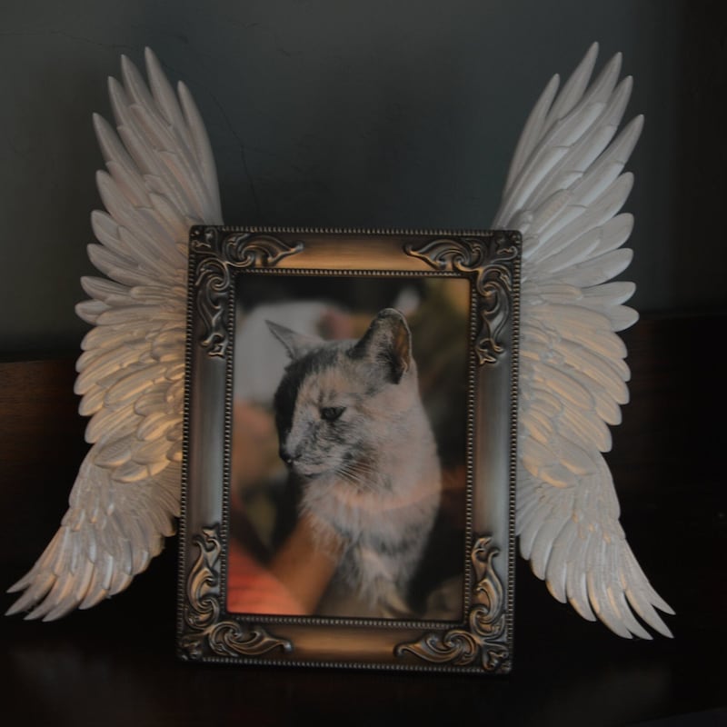 Angel Wing Photo Frame - Etsy