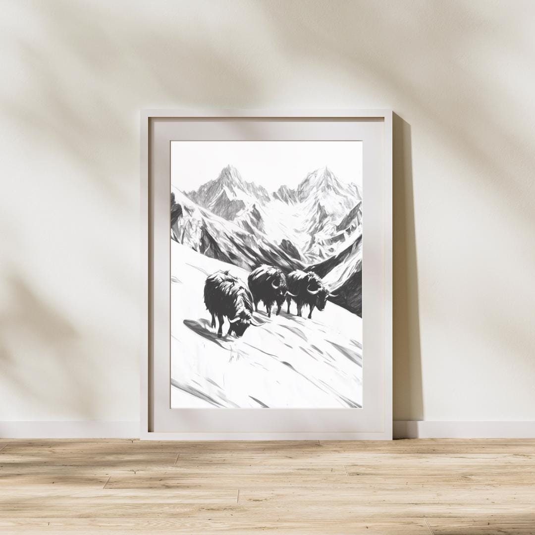 Balti Thand Himalayan Yaks Winter Scene Black and White Drawing ...