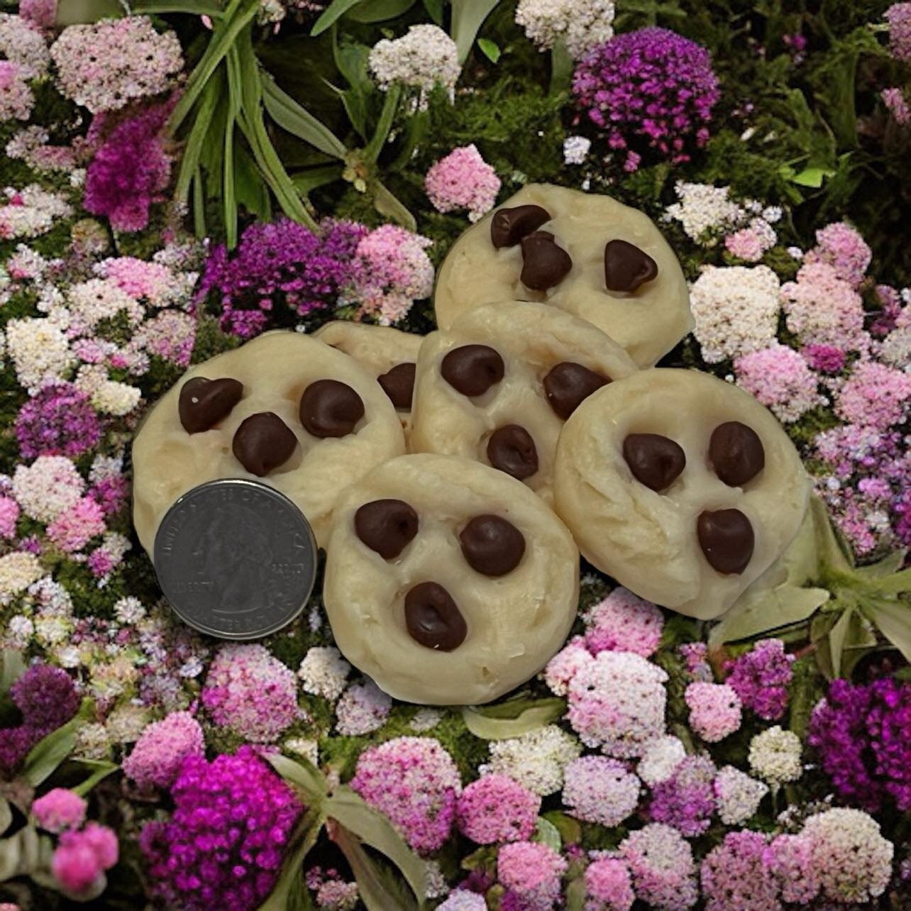 CHOCOLATE CHIP COOKIES Wax Embeds, Wax Melts, Wax Tarts, Scented Embeds ...