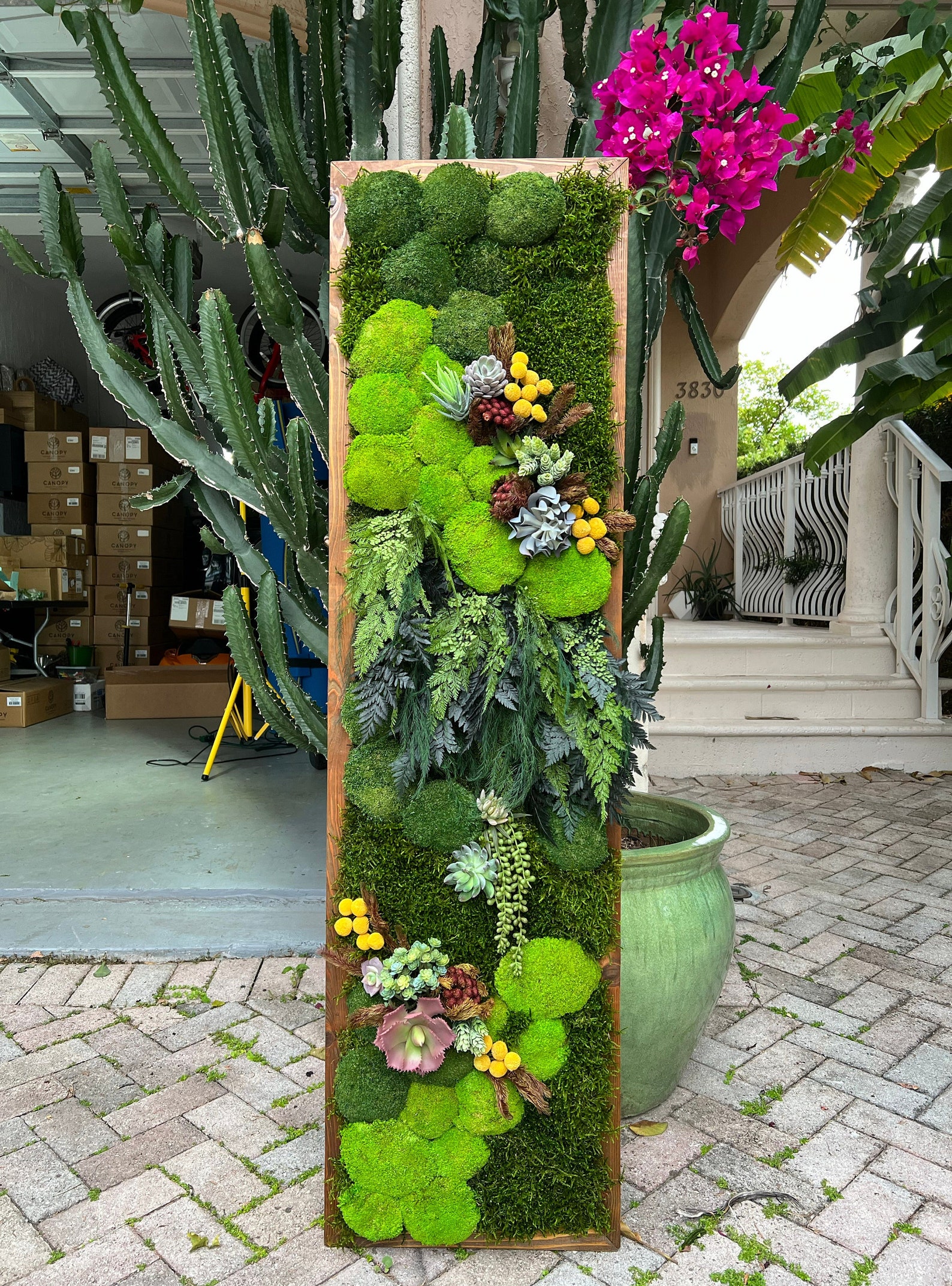 Vertical Moss Wall Panel – Wooden Frame Greenery Art, Preserved ...