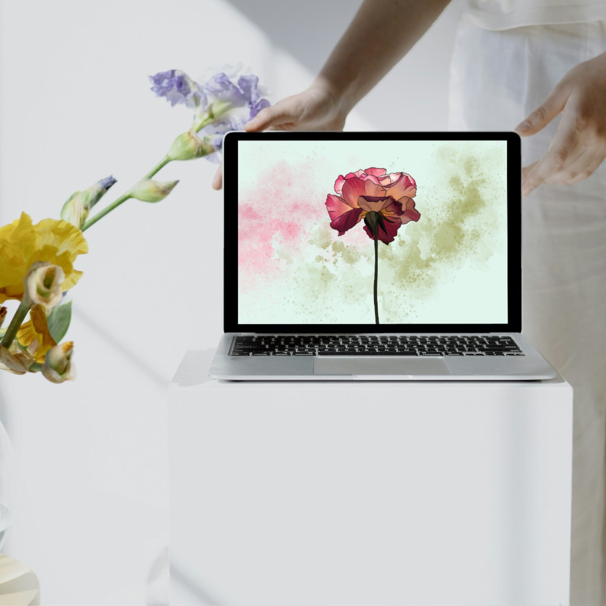 Pink Rose Desktop Wallpaper for Windows and Apple Computers - Watercolor Floral Digital ...