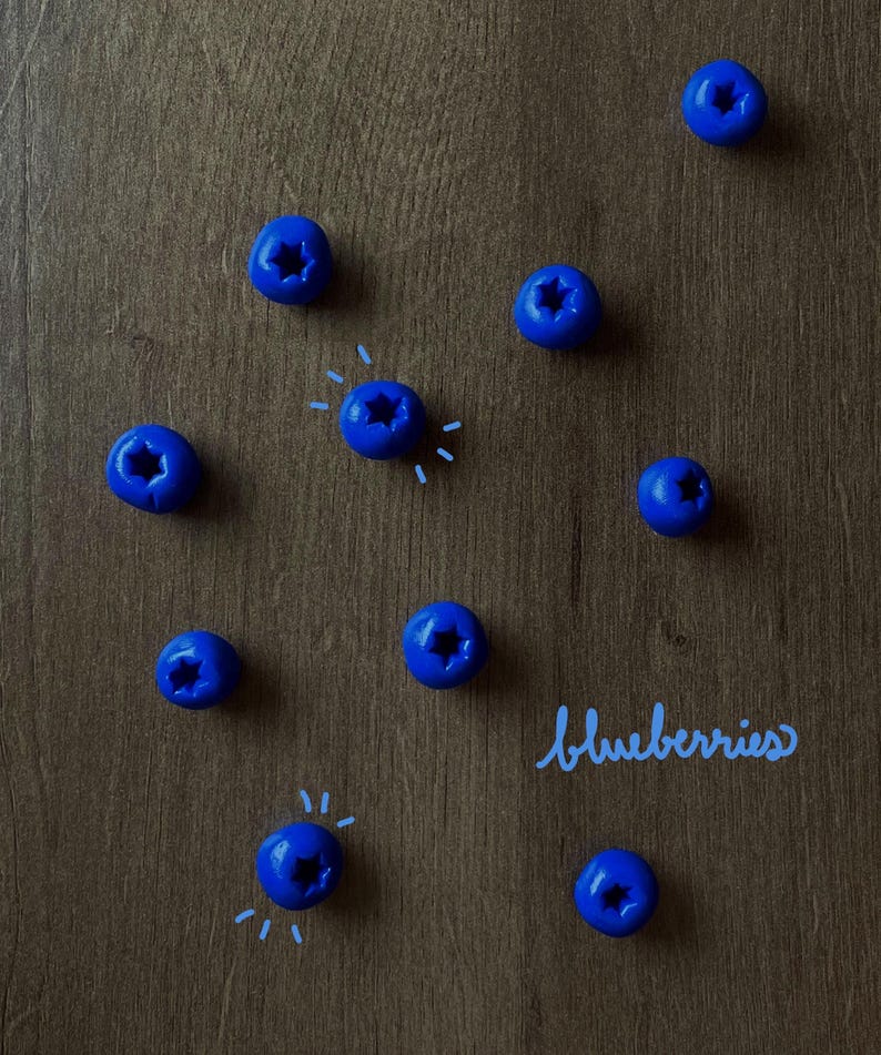 Set of 4 - Colorful Fruit Shaped Magnets - Blueberries Magnets for ...