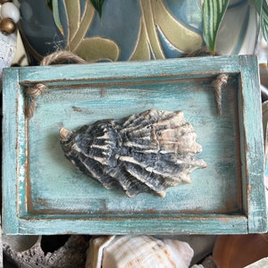Unique Oyster and Clam Shell Art Wall Hangings or Table Top Decor - Etsy