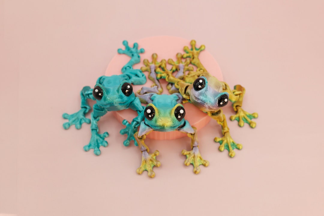 Cute Frog Fidgets, 3D Printed Articulating Frog, Fun Frog Gift, 3D ...