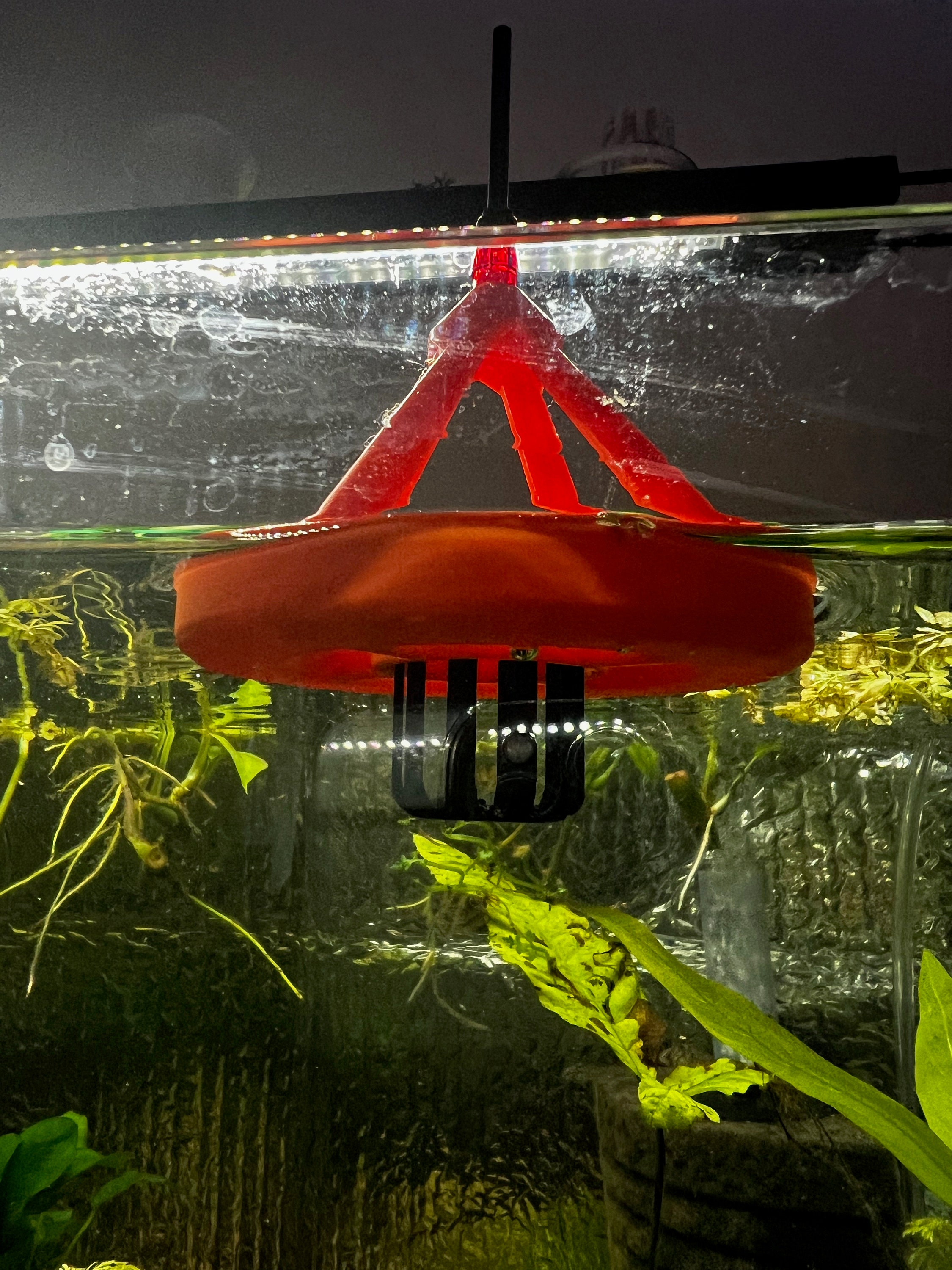 Floating Buoy Fish Feeder - Etsy