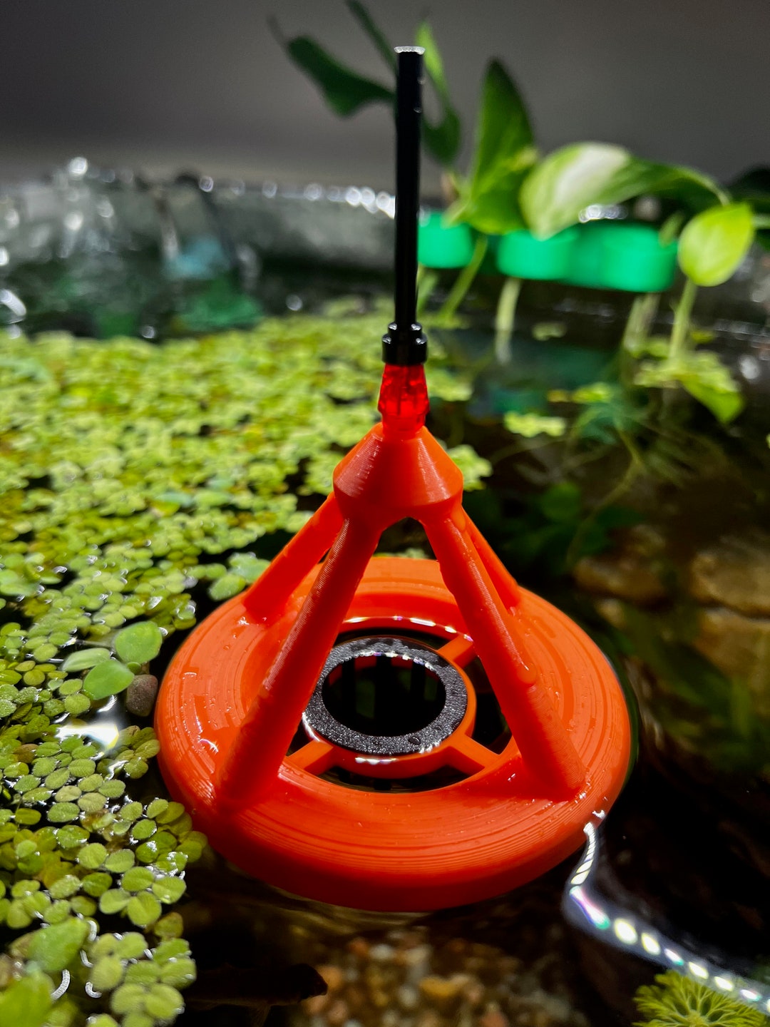 Floating Buoy Fish Feeder - Etsy