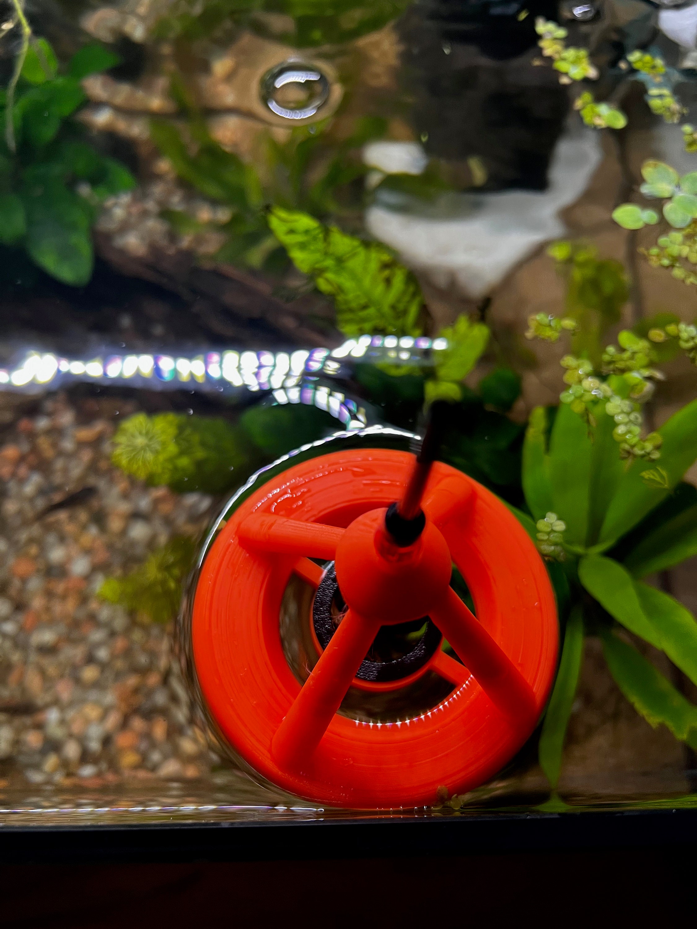 Floating Buoy Fish Feeder - Etsy