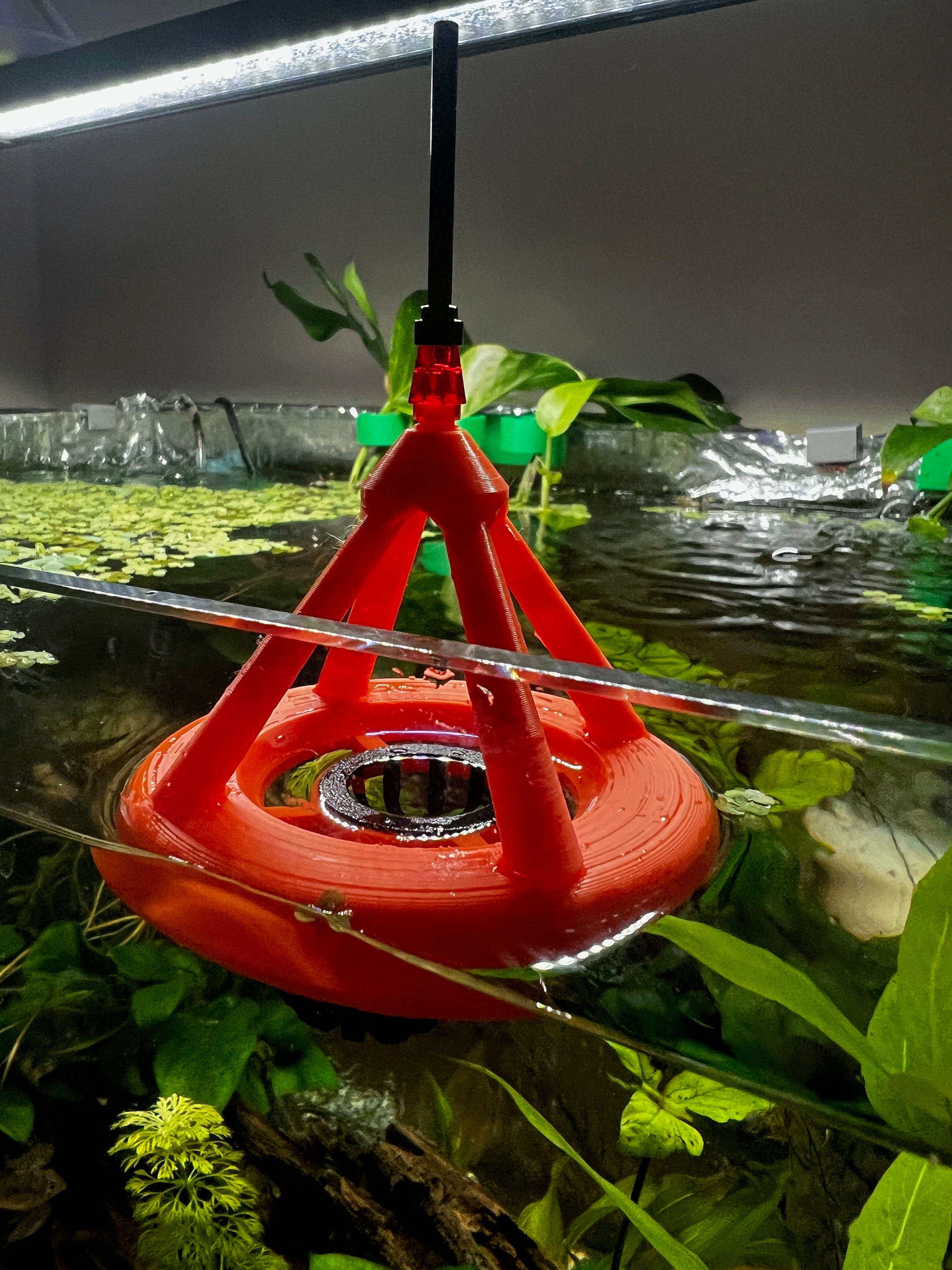Floating Buoy Fish Feeder - Etsy