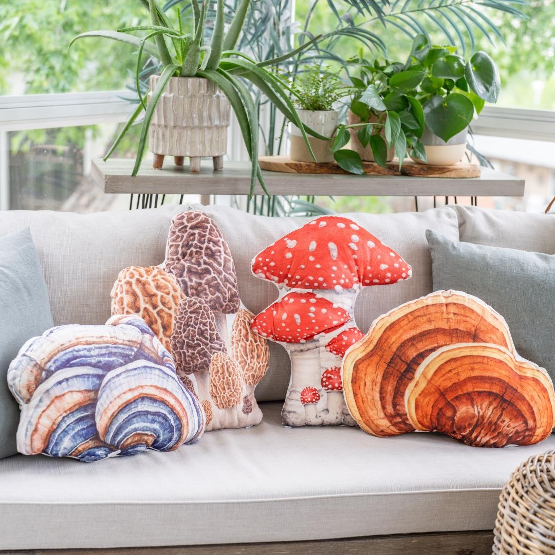Four Realistic Mushroom Pillow Package! (ALL FOUR Pillows) Morel ...