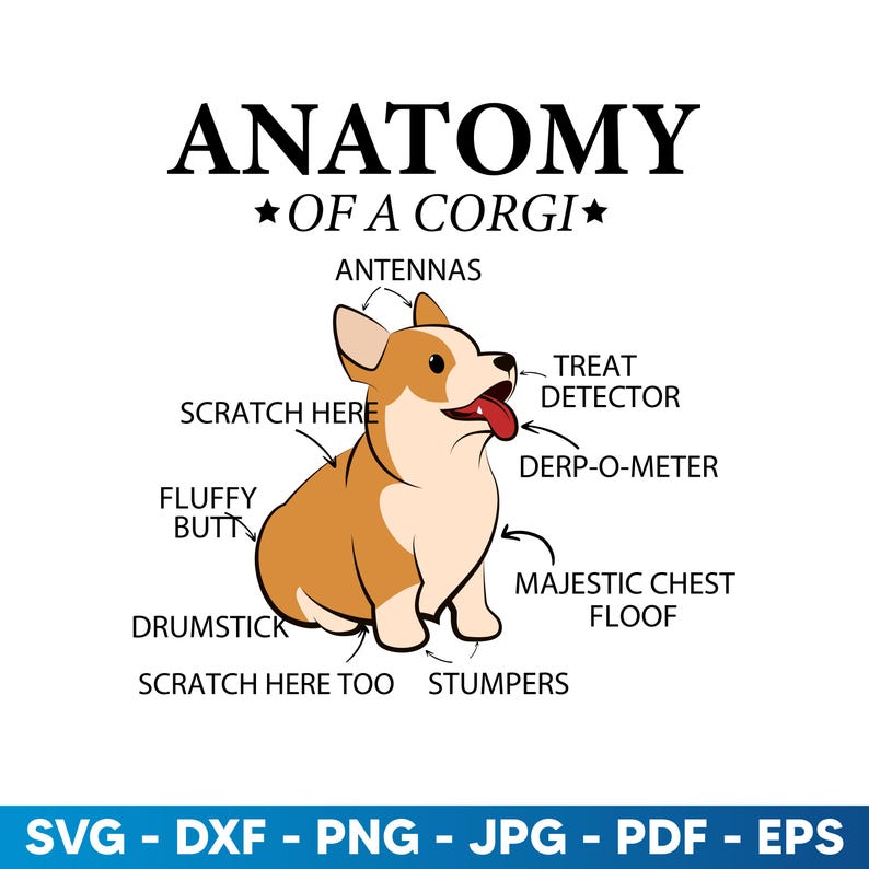 Anatomy of a Corgi Shirt, Corgi Shirt, Corgi Dog Mom, Corgi Gift, Corgi ...