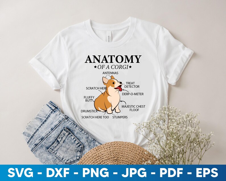 Anatomy of a Corgi Shirt, Corgi Shirt, Corgi Dog Mom, Corgi Gift, Corgi ...