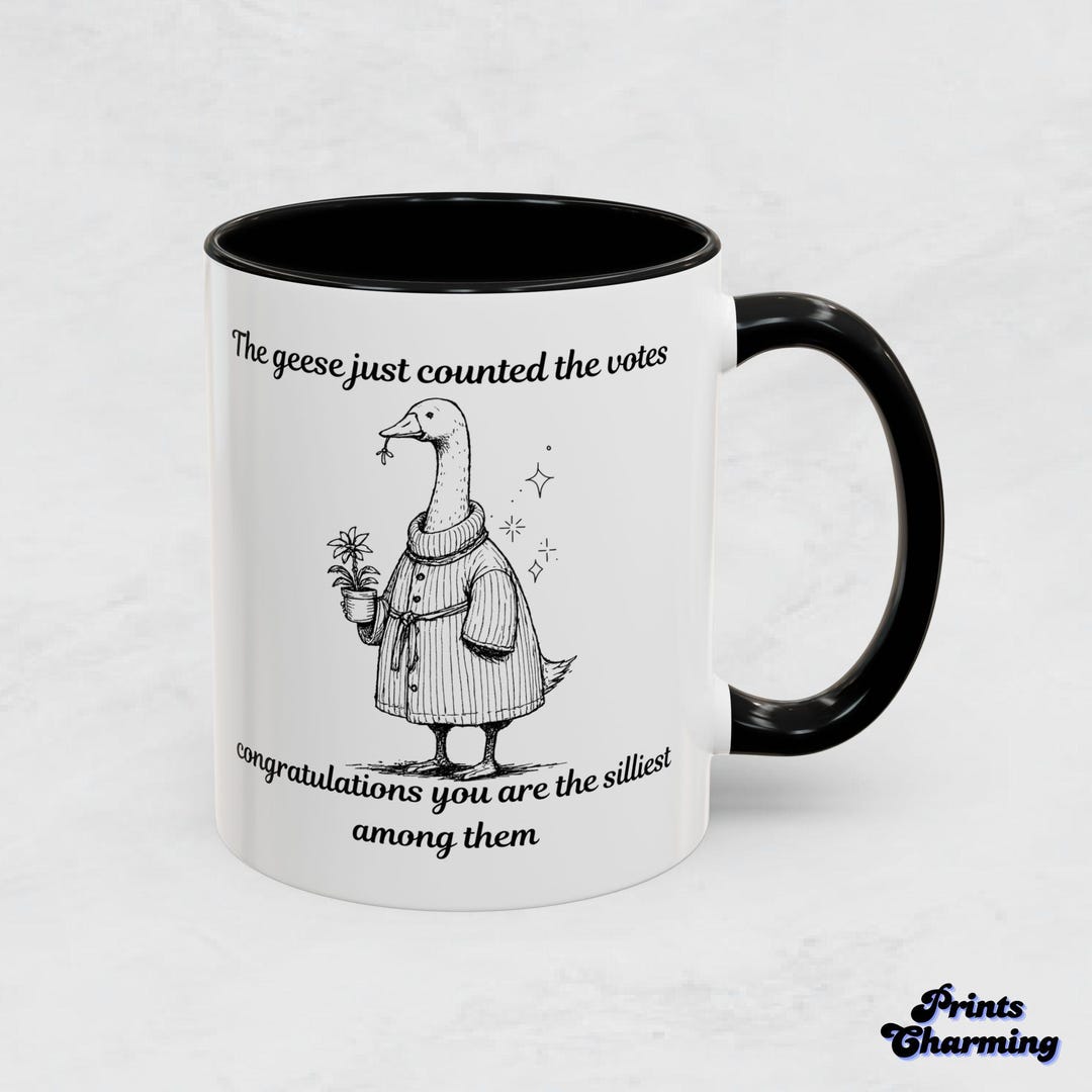 Silly Goose Congratulations Mug, Funny Coffee Cup, Humor Gift for Geese ...
