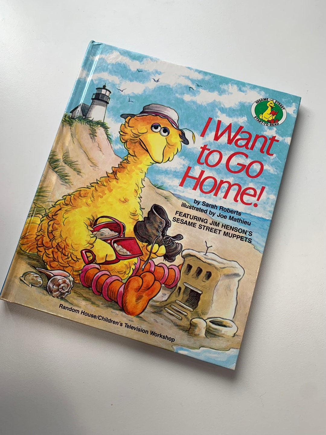 Big Bird Vintage Children's Book, 1985, Sesame Street - Etsy
