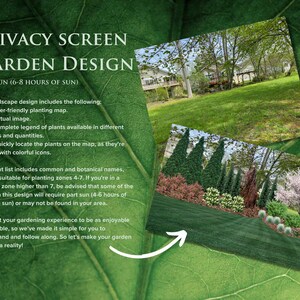 Privacy Screen Garden Plan | Planting Zone 4-7 - Etsy