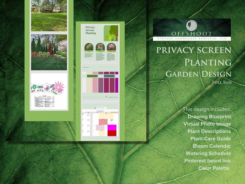 Privacy Screen Garden Plan Planting Zone 4-7 - Etsy
