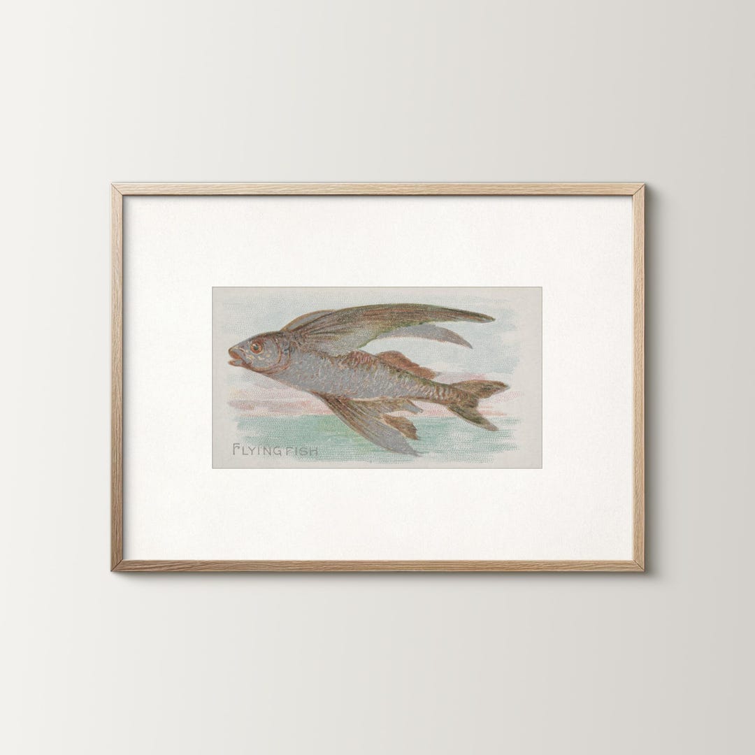 Vintage Flying Fish Painting - Printable Wall Decor - Etsy