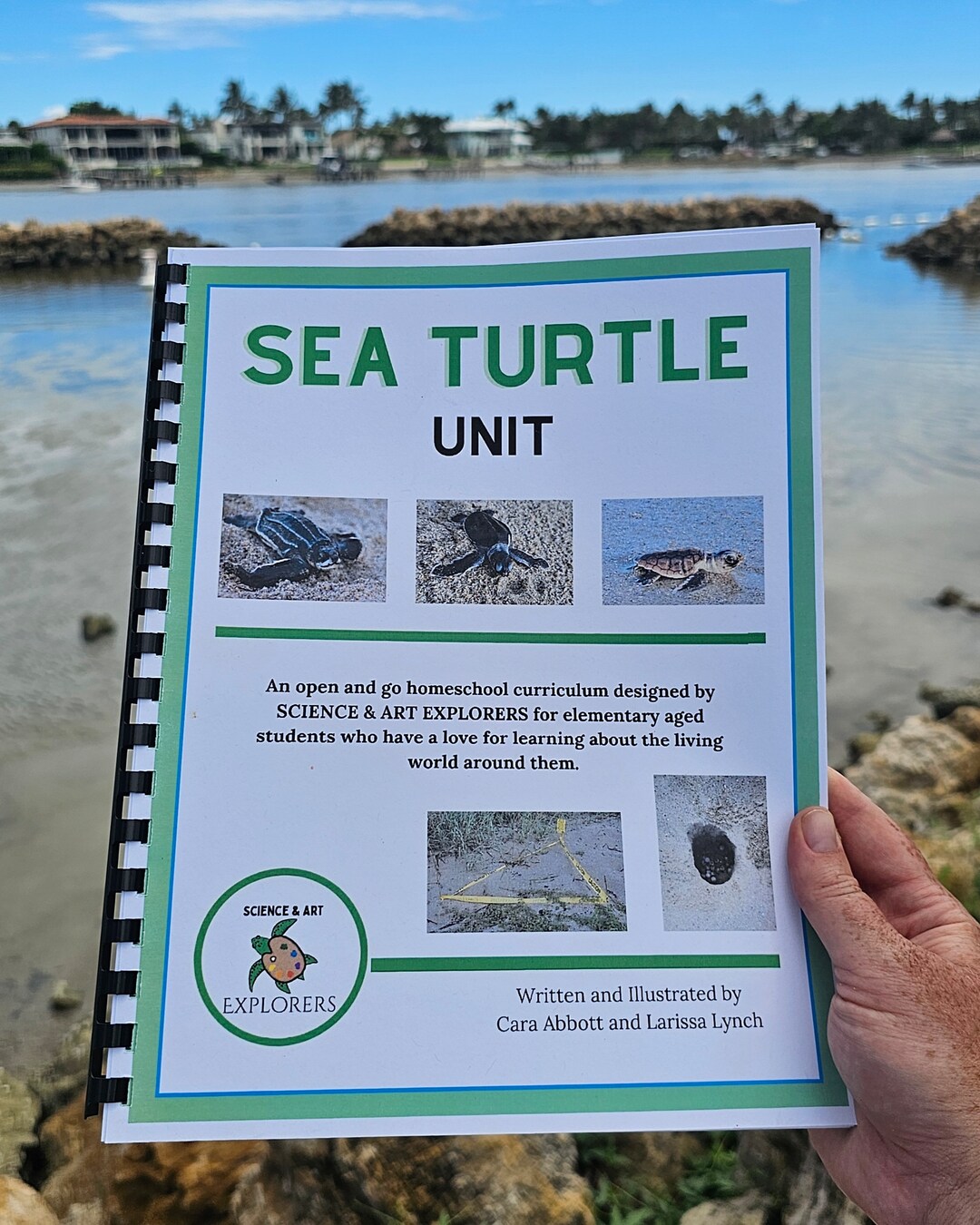 Sea Turtle Unit (DIGITAL VERSION) - Etsy