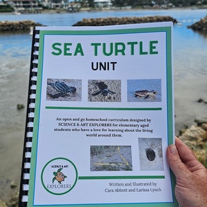 Sea Turtle Unit (DIGITAL VERSION) - Etsy