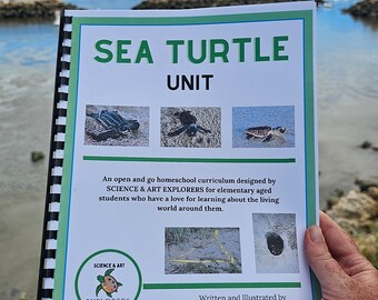 Sea Turtle Lesson Plan for Co-op, Homeschool or Classroom Study - Unit ...