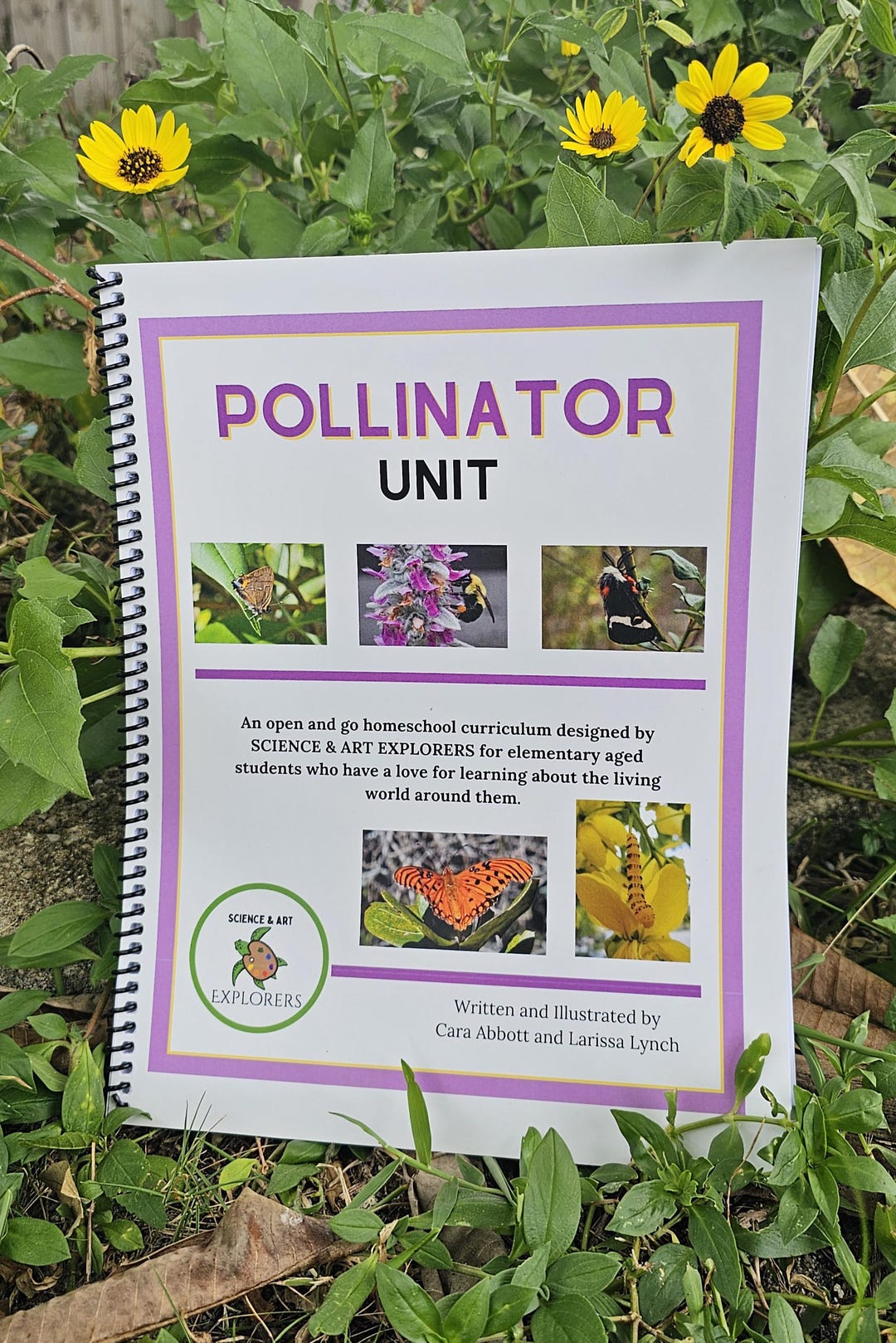 Florida Pollinators Unit (PRINT COPY) - Etsy