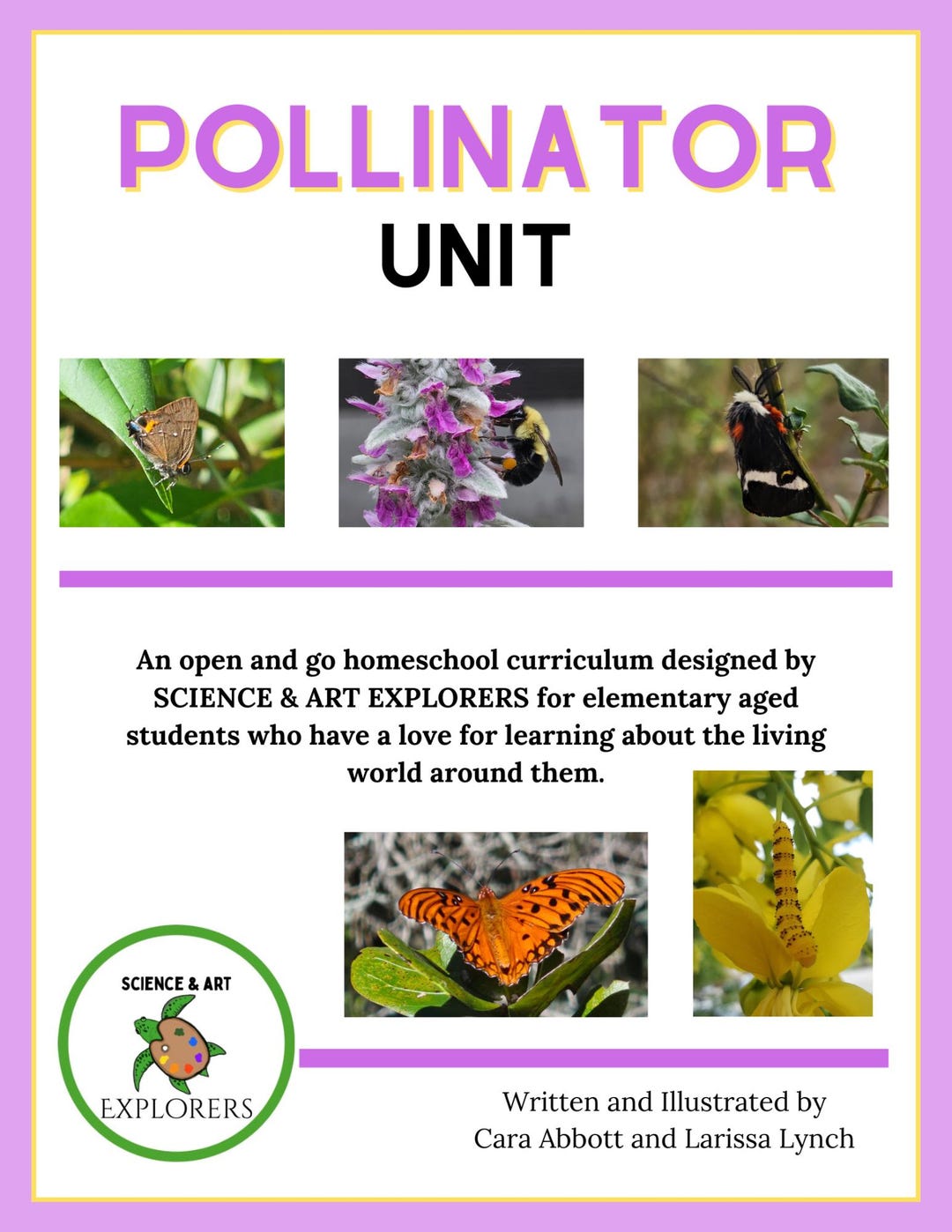 Florida Pollinator Unit Study - Part 1 - (DIGITAL VERSION) - Etsy