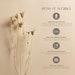 Boho Vibe Funeral Program Template, Template Celebrating the Life of ...