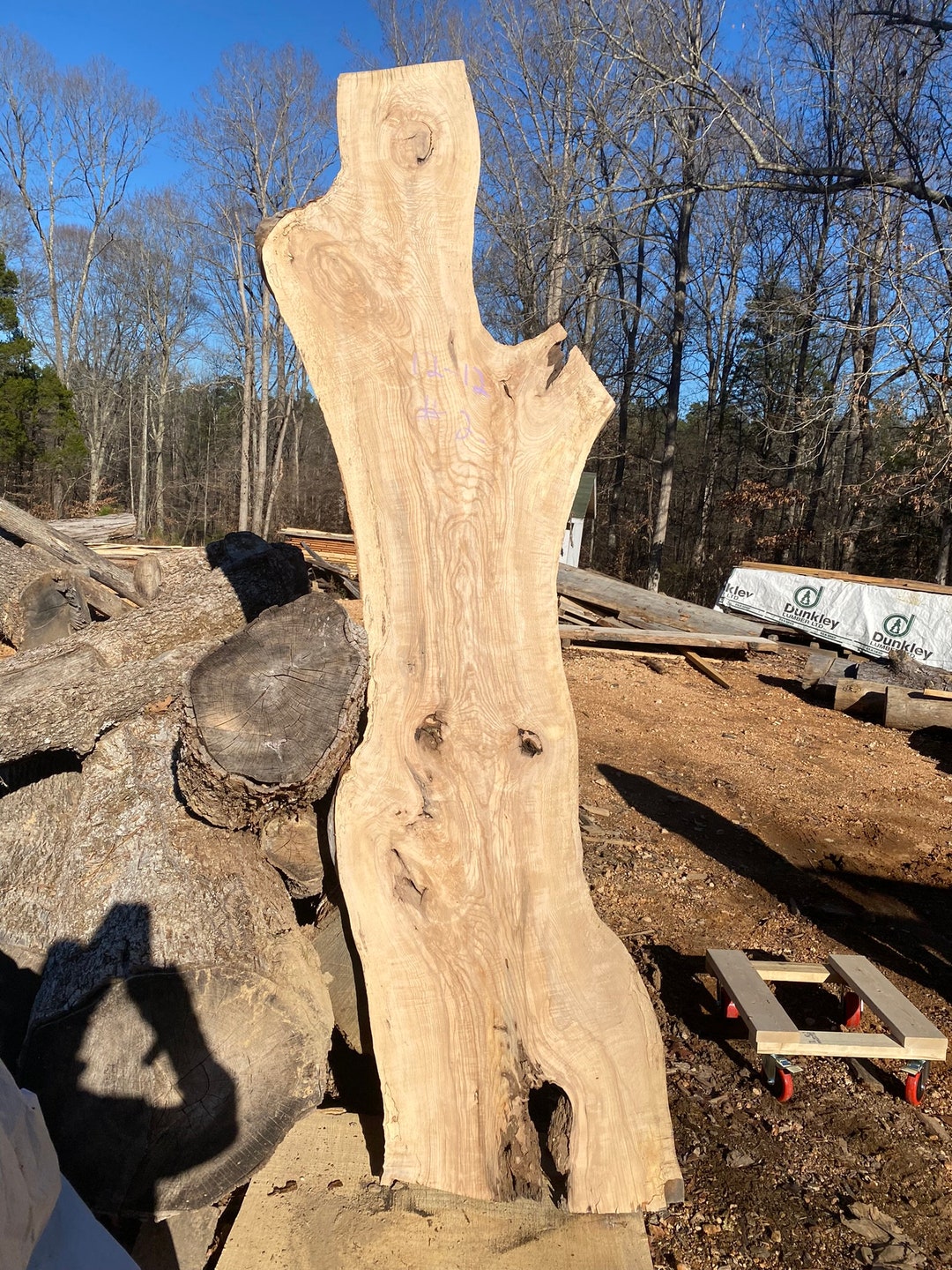 Sycamore Slabs - Etsy