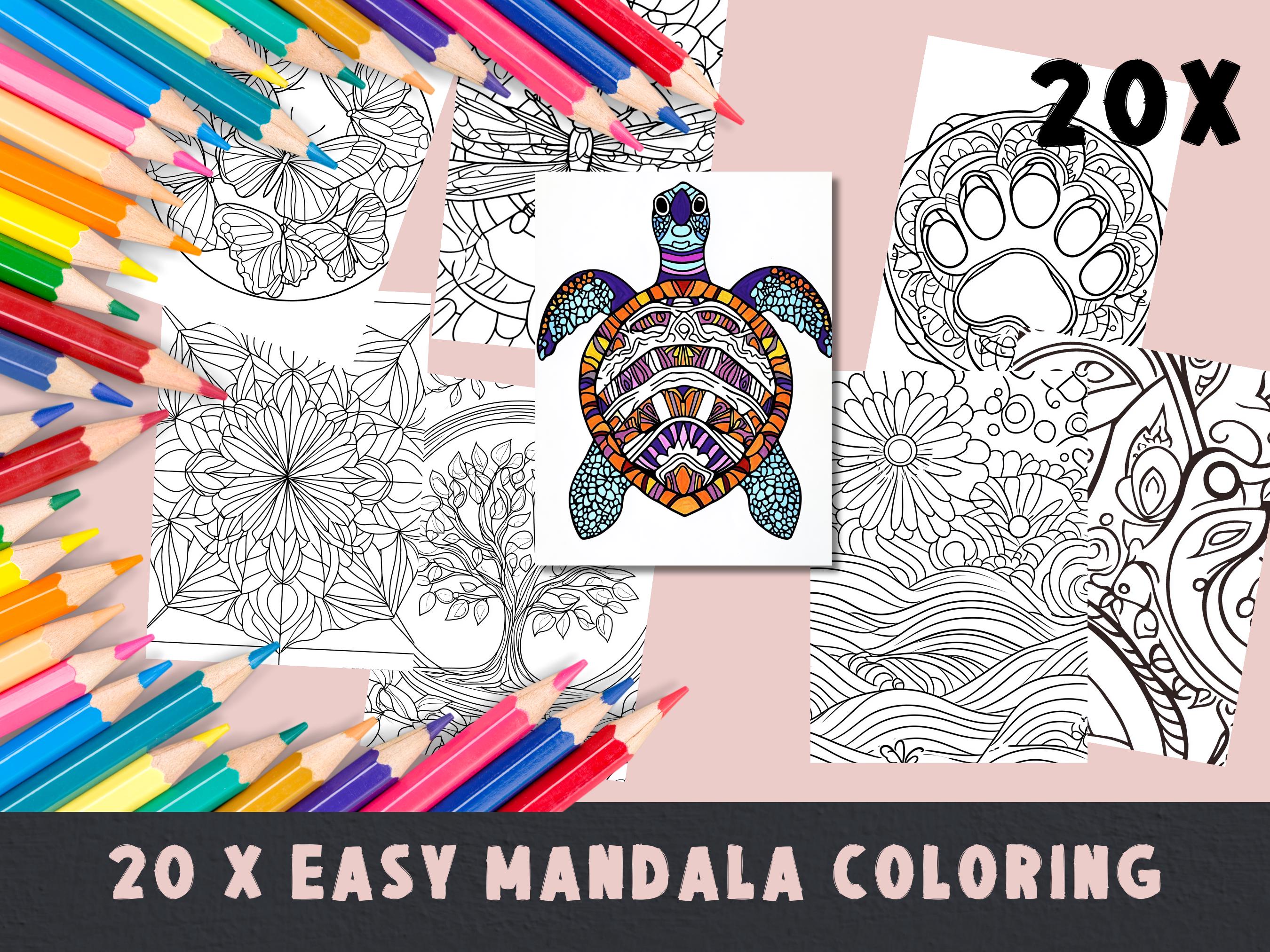 Bold and Easy Mandala Coloring Pages, Adult Coloring, Relaxing Coloring ...