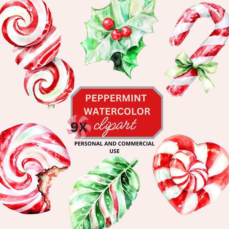 Peppermint Watercolor Clipart Peppermint Christmas Clipart Candy Cane ...