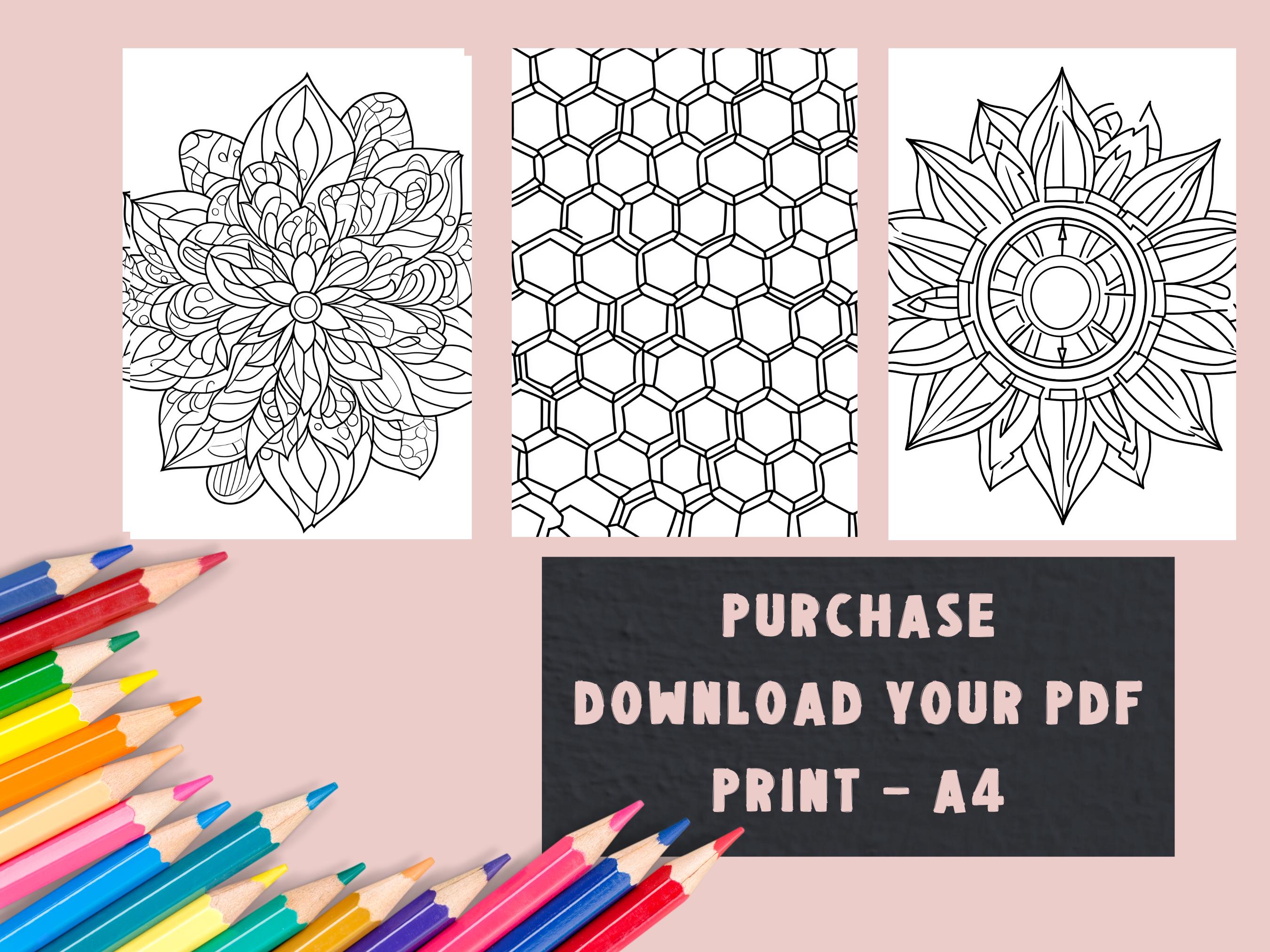 Bold and Easy Mandala Coloring Pages, Adult Coloring, Relaxing Coloring ...