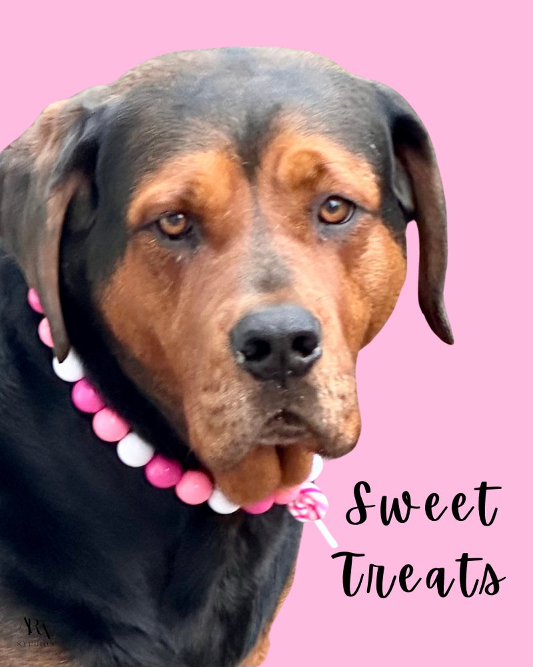 Treat Your Dog to This Sweet Handmade Bead Dog Collar With a Cute ...