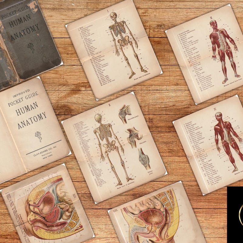 Medical Oddities - Etsy