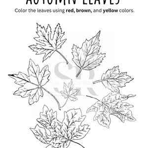 Autumn/ Fall Time Activity Worksheets Pack (30 Pages) PK, P. - Etsy