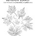 Autumn/ Fall Time Activity Worksheets Pack (30 Pages) PK, P. - Etsy