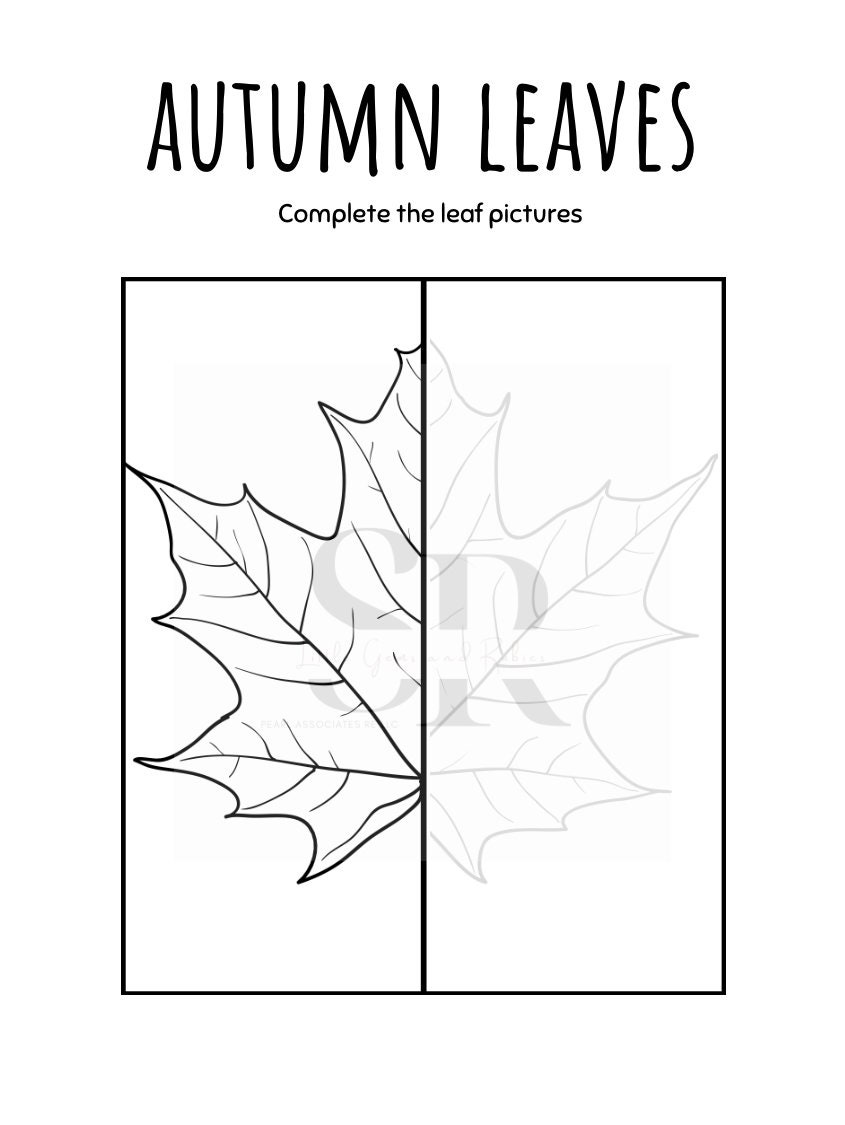 Autumn/ Fall Time Activity Worksheets Pack (30 Pages) PK, P. - Etsy
