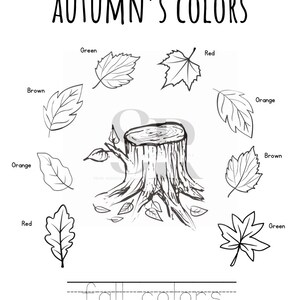 Autumn/ Fall Time Activity Worksheets Pack (30 Pages) PK, P. - Etsy