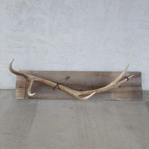 Elk Shed Towel Rack/coat Rack - Etsy