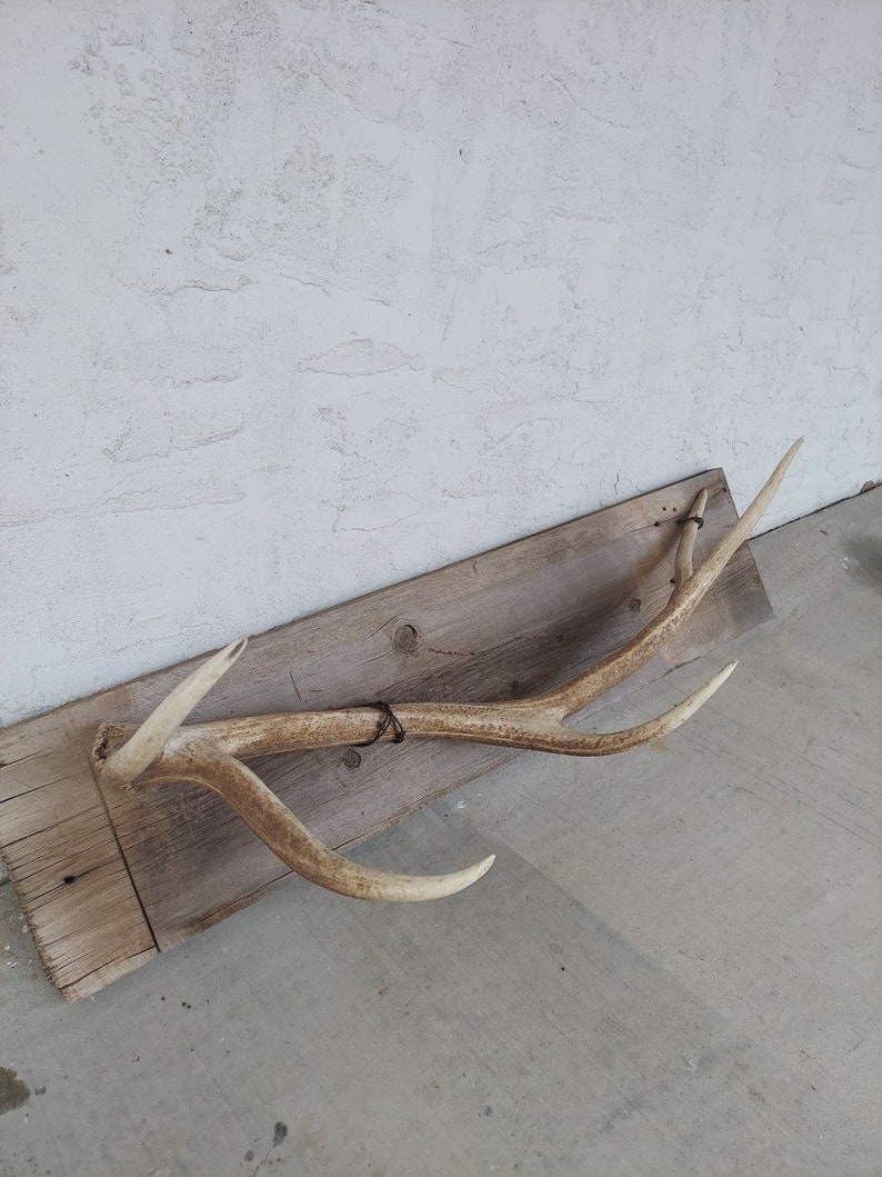 Elk Shed Towel Rack/coat Rack - Etsy