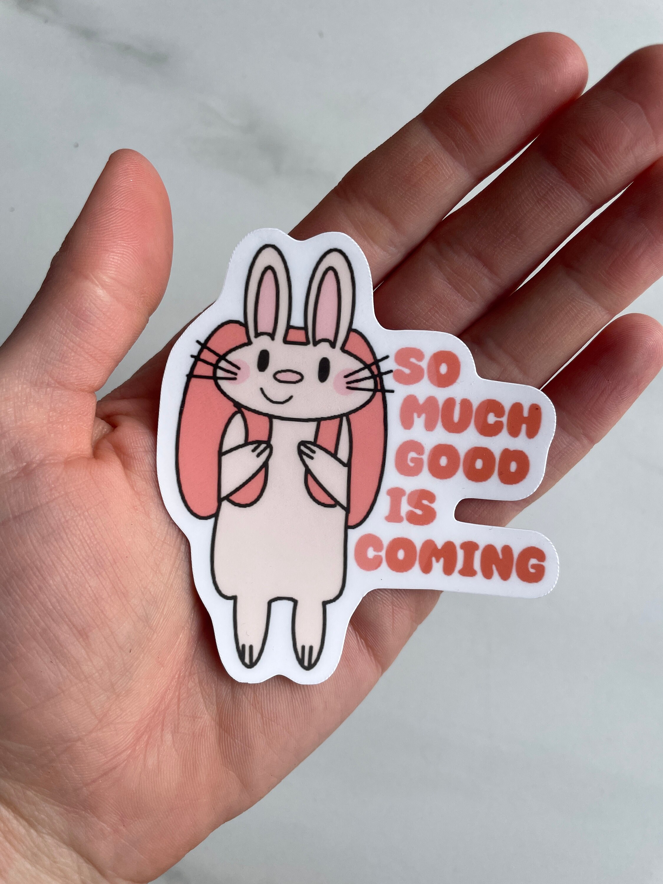 Cute Rabbit With Backpack Sticker - Cute Animal Meme Sticker for Laptop ...