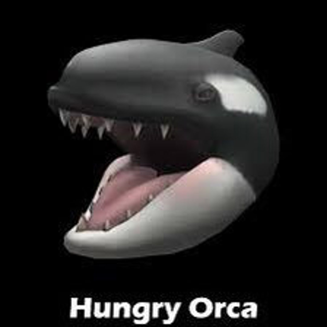 Hungry Orca CODE - Etsy