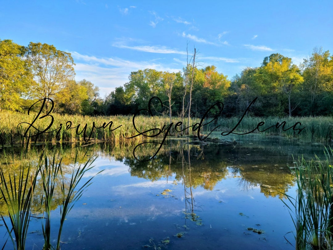 Coldwater Springs Nature Area - Etsy