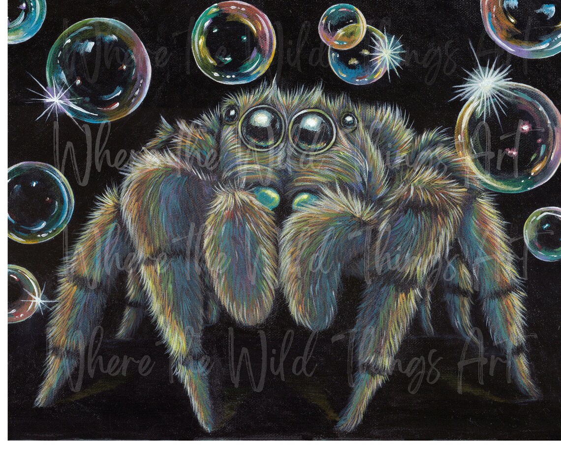 Bubbly Jumping Spider Art Bubbles Jumping Spider Painting Spider Print ...