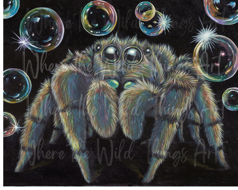 Bubbly Jumping Spider Art Bubbles Jumping Spider Painting Spider Print ...