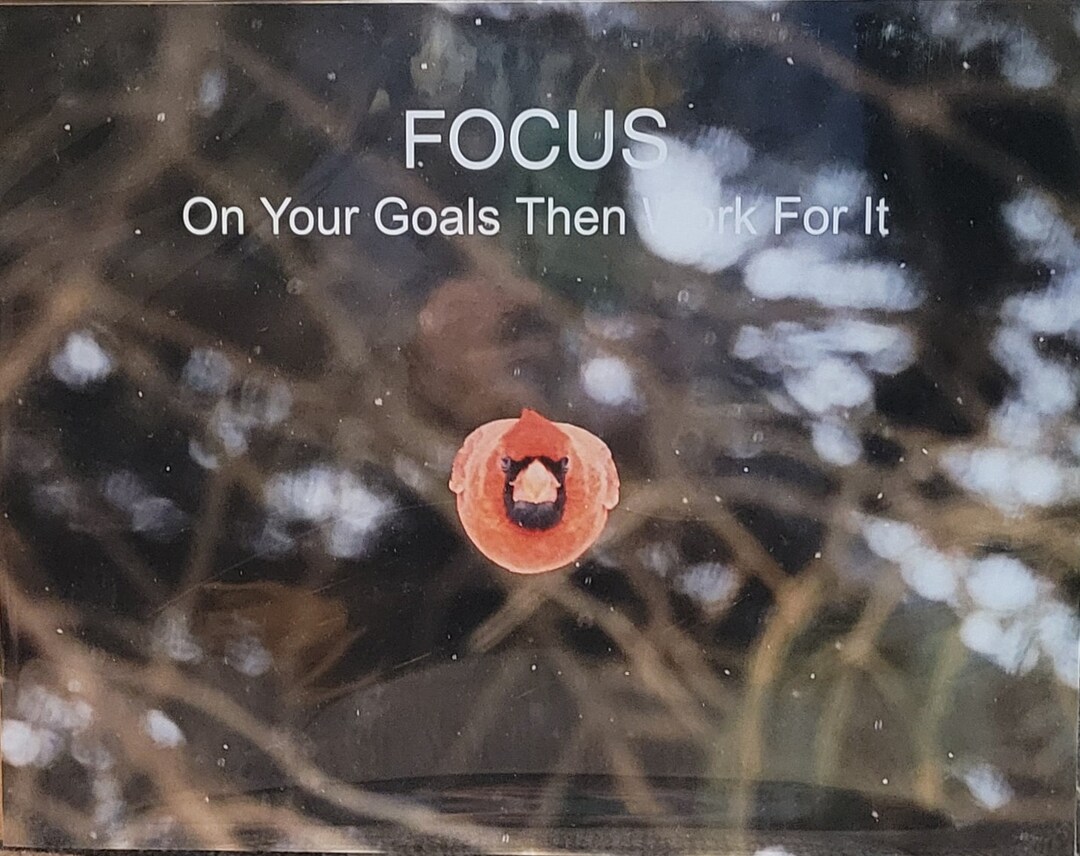 Angry Bird Inspirational 11x14 Photo - Etsy