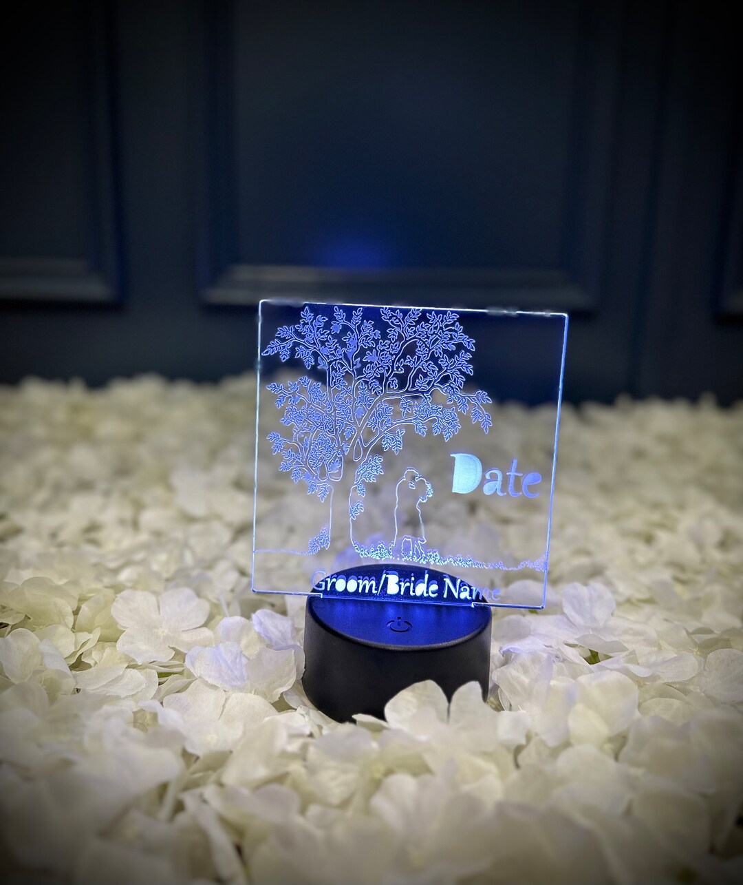 Customizable LED Acrylic Lamp: Personalized Gift, Names, Date - Ideal ...