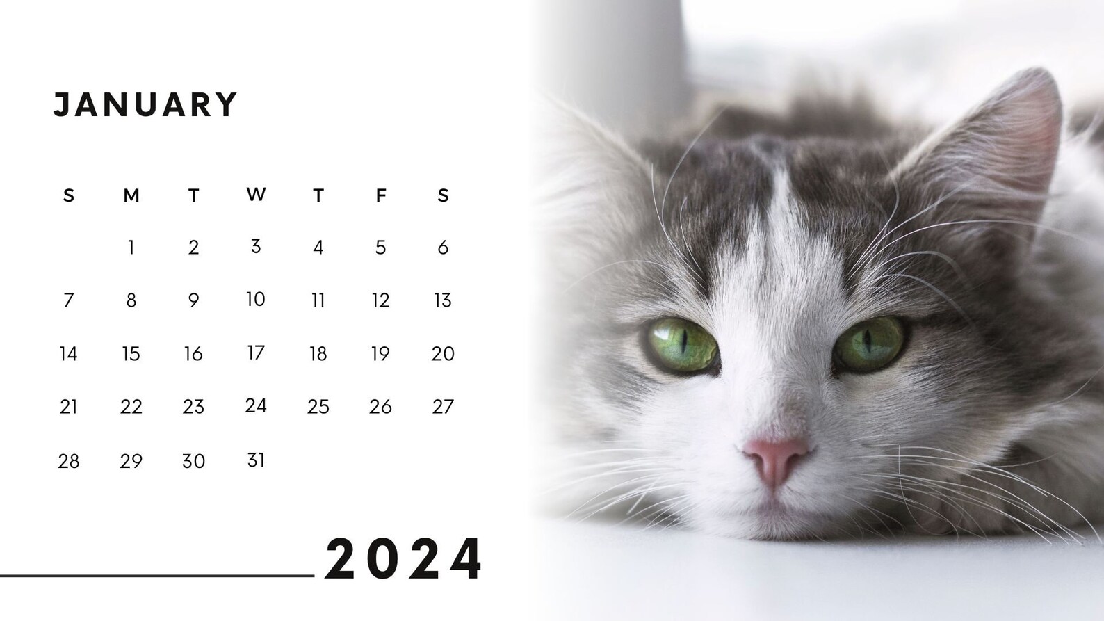 Cute Cat Calendar, Cat Calendar, Calendar, Digital Calendar ...