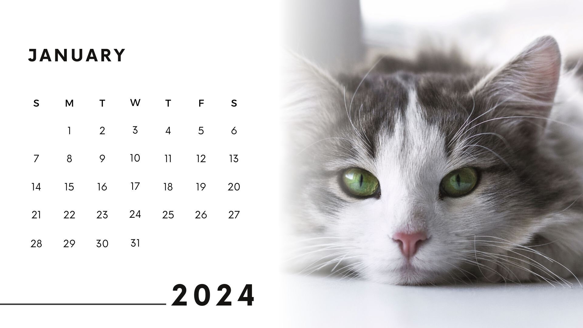 Cute Cat Calendar, Cat Calendar, Calendar, Digital Calendar ...