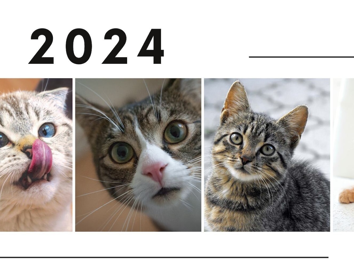 Cute Cat Calendar, Cat Calendar, Calendar, Digital Calendar ...